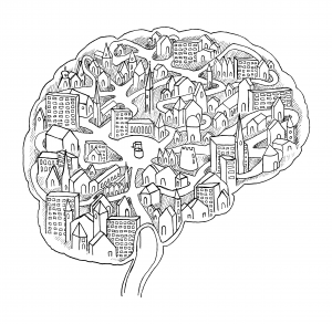 Kijken in het brein | Donders Wonders